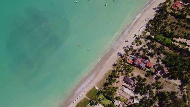 Free Stock Video Footage, Royalty Free Videos for Download