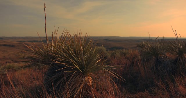 Beautiful sunset valley - Free Stock Video Footage | Coverr