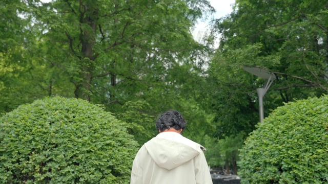 A young man walking in the park - Free Stock Video Footage | Coverr