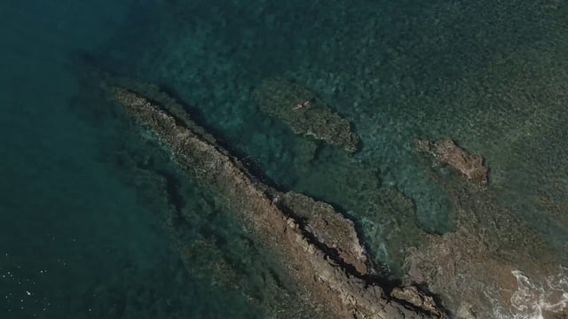 A man is swimming over a mid-ocean ridge - Free Stock Video Footage ...