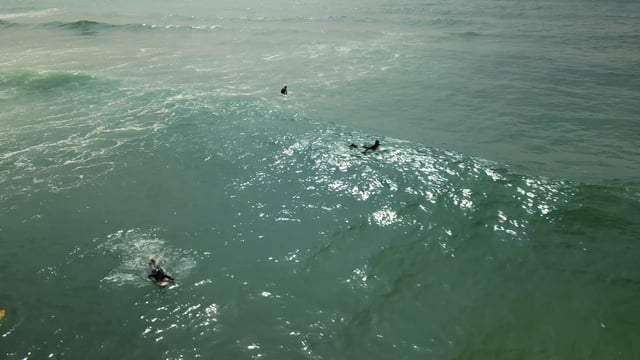 Surfer catching a wave - Free Stock Video Footage | Coverr