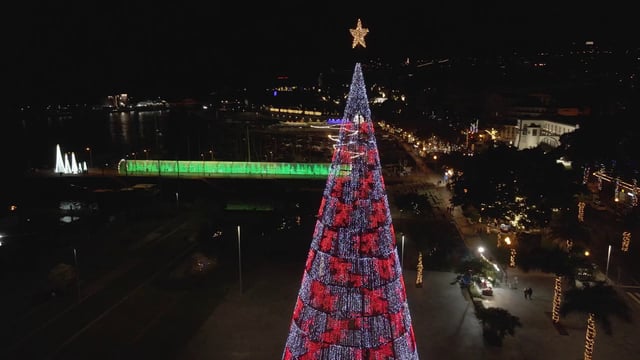 Christmas tree in the city - Free Stock Video Footage | Coverr